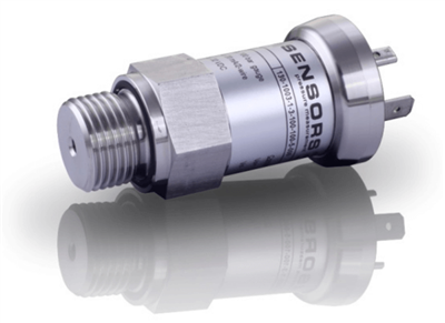 BD Sensors DMP 333 Pressure Transmitter | Yodify.com