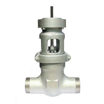Flexible Split Wedge Gate Valves - Equiwedge | Specialty Products & Systems