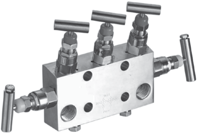 Hex Valve EH37 Differential Pressure Manifold Val | Process Technology ...