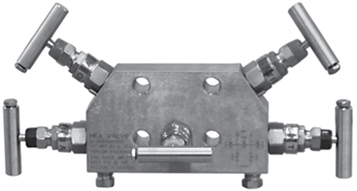 Hex Valve EH38 Differential Pressure Manifold Val | Process Technology ...