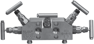 Hex Valve EH39 Differential Pressure Manifold Val | Process Technology ...