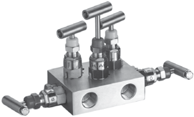 Hex Valve EM74 Differential Pressure Manifold Val | Process Technology ...