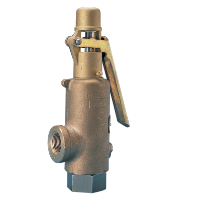 Kunkle Models 189/363/389 Safety Relief Valve | Specialty Products & Systems