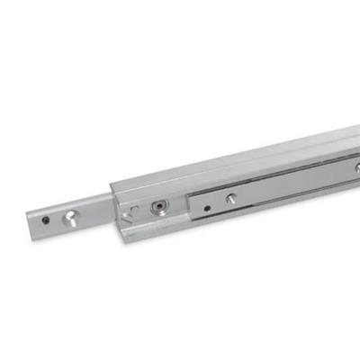 Otto Ganter GN 2408 Telescopic Linear Slide with H Shaped Rail | Yodify.com