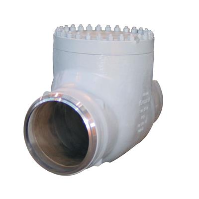 Sempell Model 801 ASME Swing Check Valves | Yodify.com